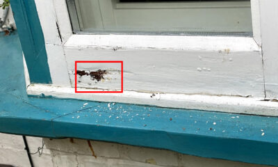 Rotten wooden window frames | Why it happens & how to fix it