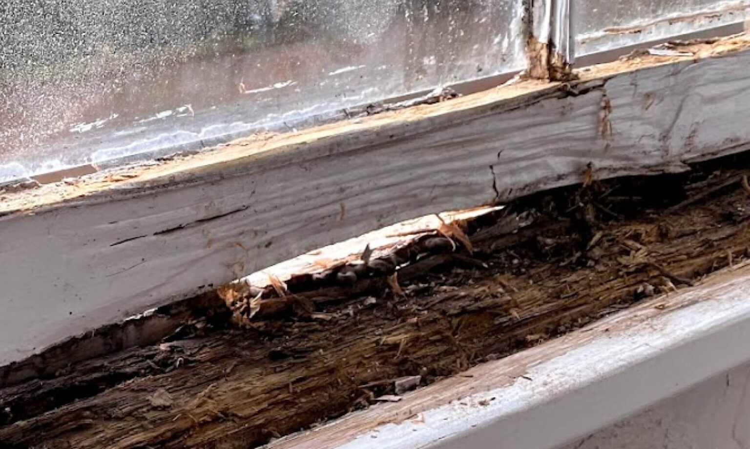 Rotten wooden window frames | Why it happens & how to fix it
