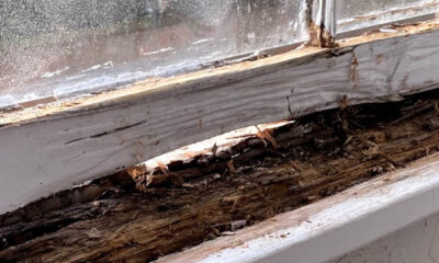 Rotten wooden window frames | Why it happens & how to fix it