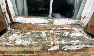 Rotten wooden window frames | Why it happens & how to fix it