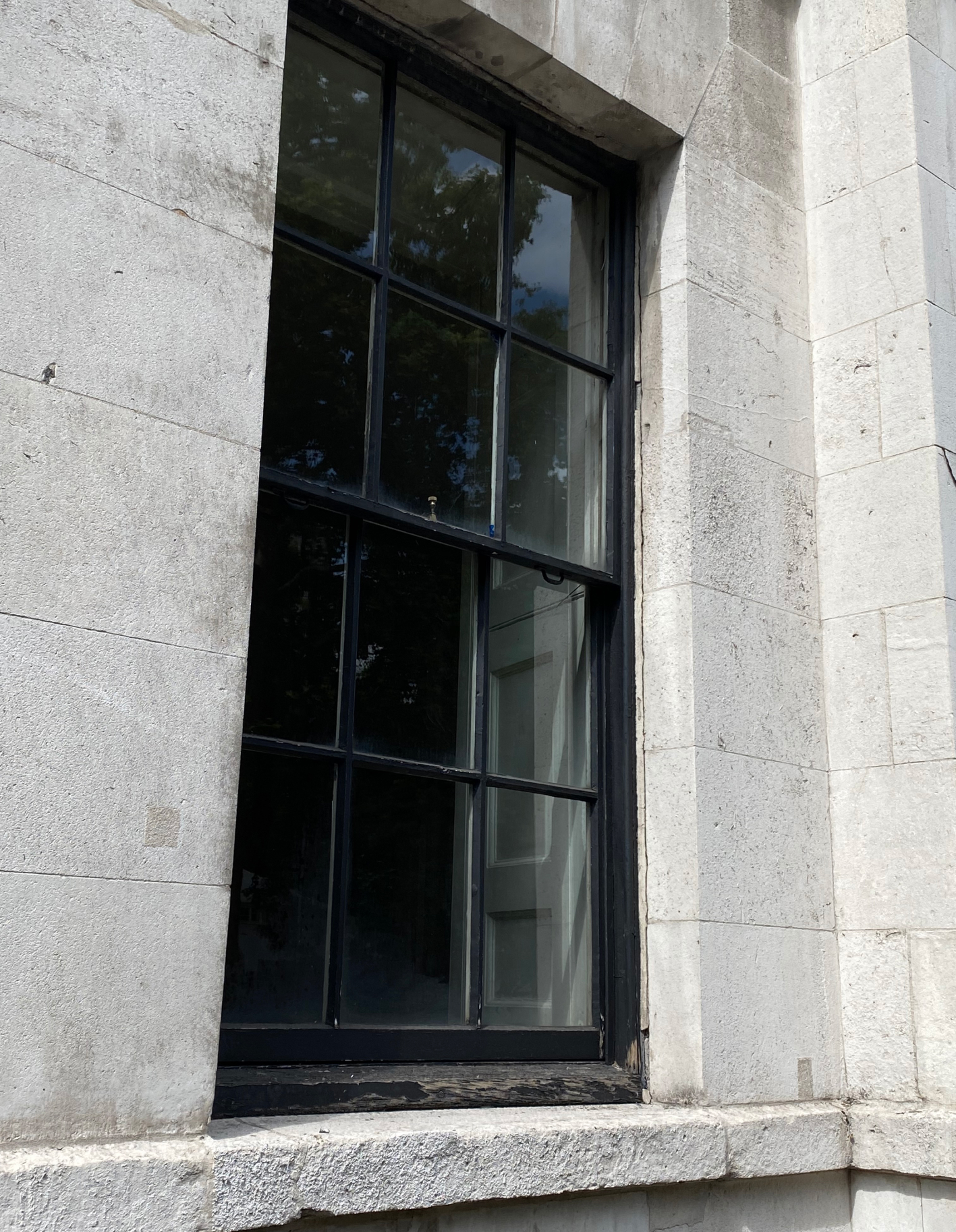 Why Black Sash Windows may not be the best choice: A maintenance ...