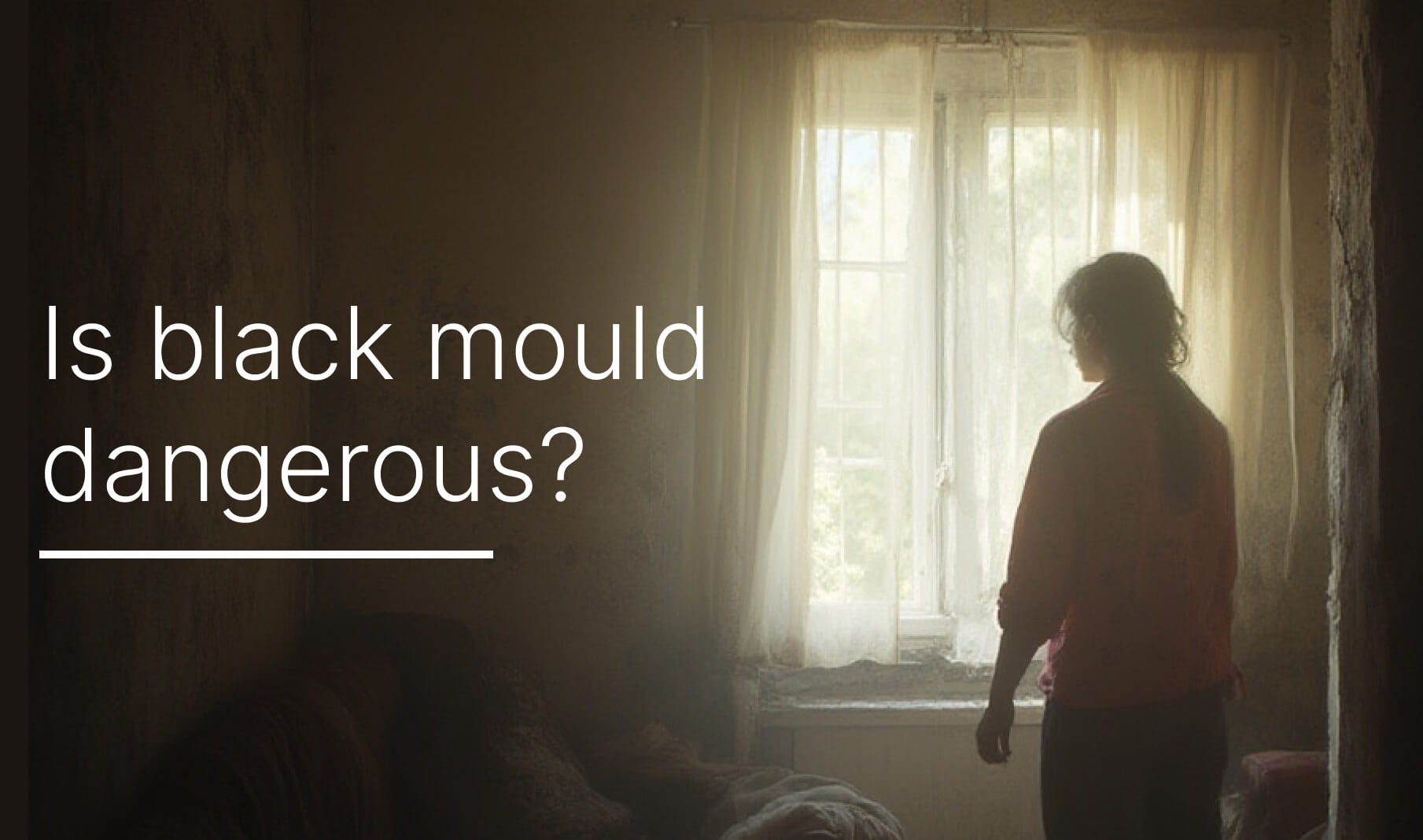 Black mould on windows: Causes, removal, and prevention - Chameleon ...